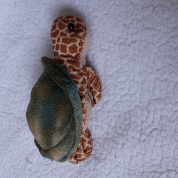 Seaworld | Toys | Seaworld Mini Turtle Plush Stuffed Animal | Poshmark